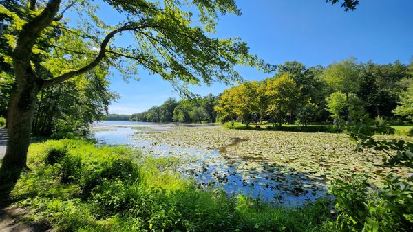 BUDDY ATTICK PARK - Updated June 2026 - 47 Photos & 12 Reviews - 555 ...