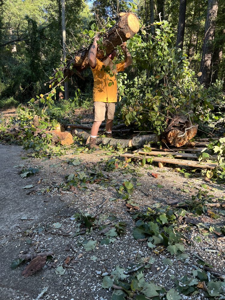 SUPERIOR TREE SOLUTIONS - Updated July 2025 - 2018 Tallwood Pl, Griffin ...