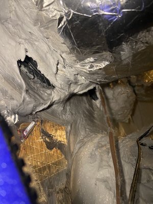 ELMER’S HOME SERVICES - Updated August 2025 - 52 Photos & 120 Reviews ...