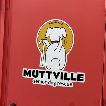 MUTTVILLE SENIOR DOG RESCUE - Updated January 2026 - 356 Photos & 172 ...