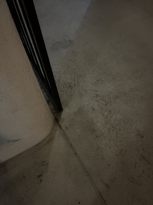 SEACREST SERVICES - Updated September 2025 - 43 Photos & 55 Reviews ...