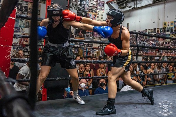 TOP TIGER TEAM BOXING - Updated December 2025 - 292 Photos - 2417 N ...