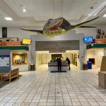 STERNBERG MUSEUM OF NATURAL HISTORY - Updated July 2025 - 65 Photos & 20 Reviews - 3000 ...
