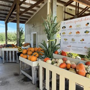 BAUMAN’S FARM AND GARDEN - Updated October 2025 - 365 Photos & 169 ...
