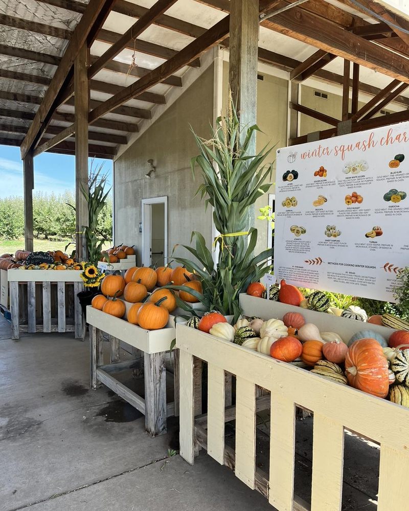 FORDYCE FARM - Updated January 2026 - 46 Photos & 21 Verified Reviews ...