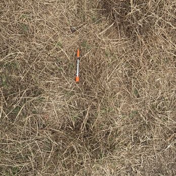 POGONIP - Updated January 2026 - 234 Photos & 42 Reviews - 333 Golf ...