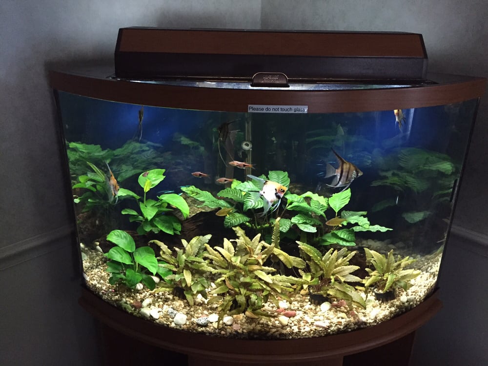 WATER’S EDGE AQUARIUM SERVICE - Updated May 2026 - 15 Photos ...