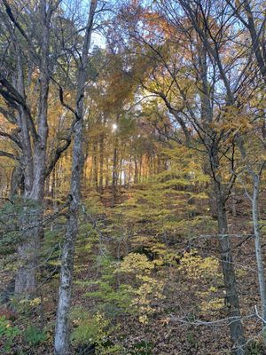 TWEETSIE TRAIL - Updated December 2025 - 14 Photos - Legion Str ...