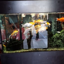 FU WING LOW - Updated August 2024 - 310 Photos & 510 Reviews - 16545 ...