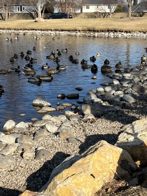 SETTLERS PARK - Updated December 2025 - 52 Photos & 31 Reviews - 3245 N ...