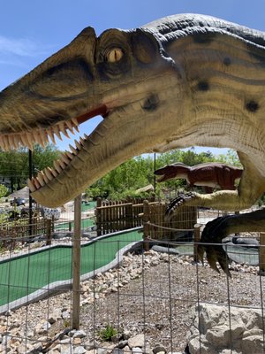 RAPTOR FALLS - Updated January 2026 - 50 Photos & 33 Reviews - 1912 ...