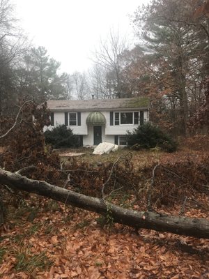 MOSS HOME SOLUTIONS - Updated June 2024 - 19 Photos & 12 Reviews - 699 ...