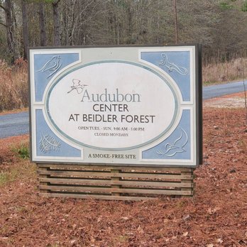FRANCIS BEIDLER FOREST AUDUBON CENTER - Updated November 2025 - 72 Photos & 16 Reviews - 336 ...