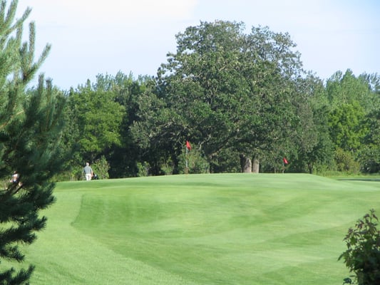 MEADOW GREENS GOLF COURSE - Updated January 2026 - 25238 540th Ave ...