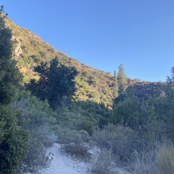 Trail Canyon Falls - 372 Photos & 90 Reviews - Hiking - Trail Canyon Rd ...