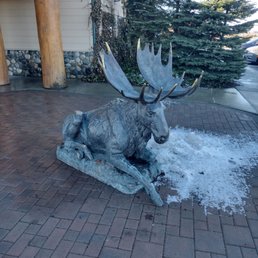 RUSTY MOOSE - Updated December 2025 - 495 Photos & 619 Reviews - 9105 W ...