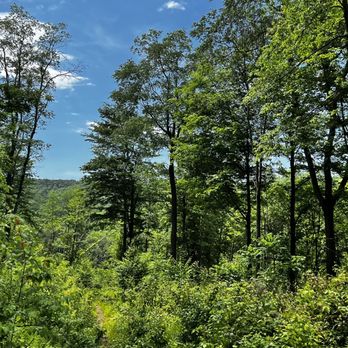 THE CROSSPATCH - Updated October 2025 - 17 Photos & 15 Reviews - 5281 ...