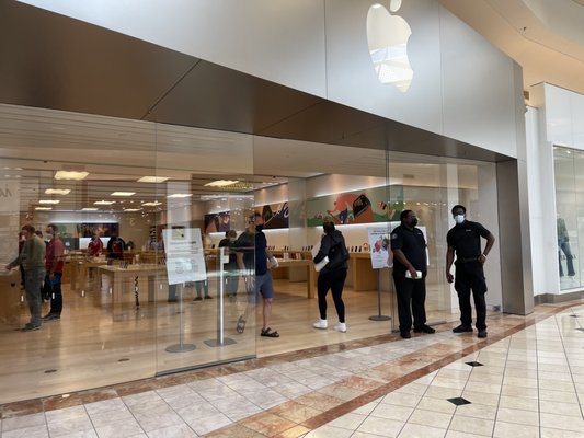 APPLE WELLINGTON GREEN - Updated January 2026 - 26 Photos & 107 Reviews ...