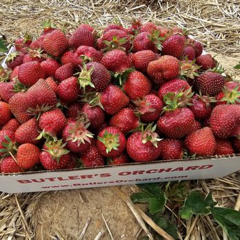 BUTLER’S ORCHARD - Updated October 2024 - 718 Photos & 397 Reviews ...