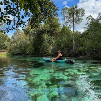 WEEKI WACHEE SPRINGS - 901 Photos & 431 Reviews - 6131 Commercial Way ...