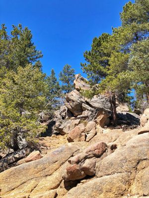 LOWER MAXWELL FALLS TRAIL HEAD - Updated August 2024 - 172 Photos & 41 ...