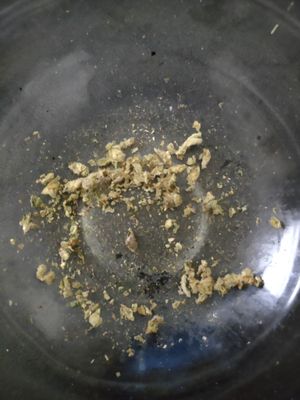 GLEAF - ROCKVILLE - Updated June 2025 - 10 Photos & 32 Reviews - 808 ...