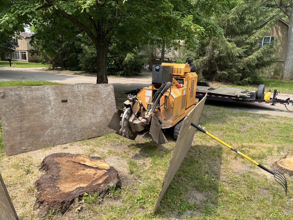 STONE STUMP REMOVAL - Updated August 2025 - Request a Quote - 55 Photos ...