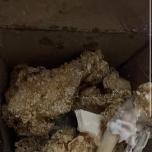 GATOR’S SPORTS BAR & GRILL - Updated October 2025 - 121 Photos & 233 ...