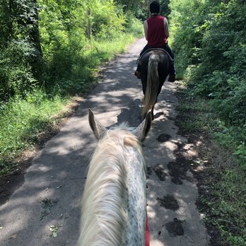 RED BUFFALO RANCH - Updated August 2025 - 68 Photos & 60 Reviews - 1106 ...