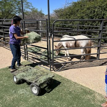 TRAK - THERAPEUTIC RANCH FOR ANIMALS AND KIDS - Updated October 2025 ...