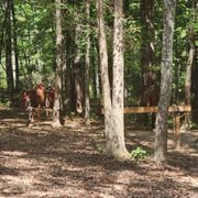 CLOVERLAND RANCH - 19 Photos - 351 Longview Rd, Fayetteville, GA - Yelp
