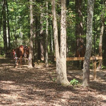 CLOVERLAND RANCH - Updated December 2024 - 36 Photos & 19 Reviews - 351 ...