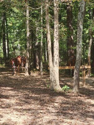 CLOVERLAND RANCH - 24 Photos - 351 Longview Rd, Fayetteville, Georgia ...