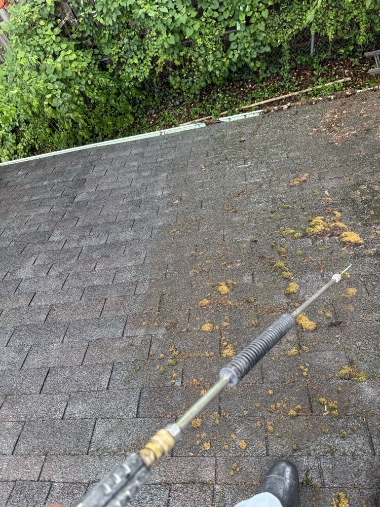 JC WINDOW CLEANING SERVICE - Updated July 2025 - 14 Photos - Woodbridge ...