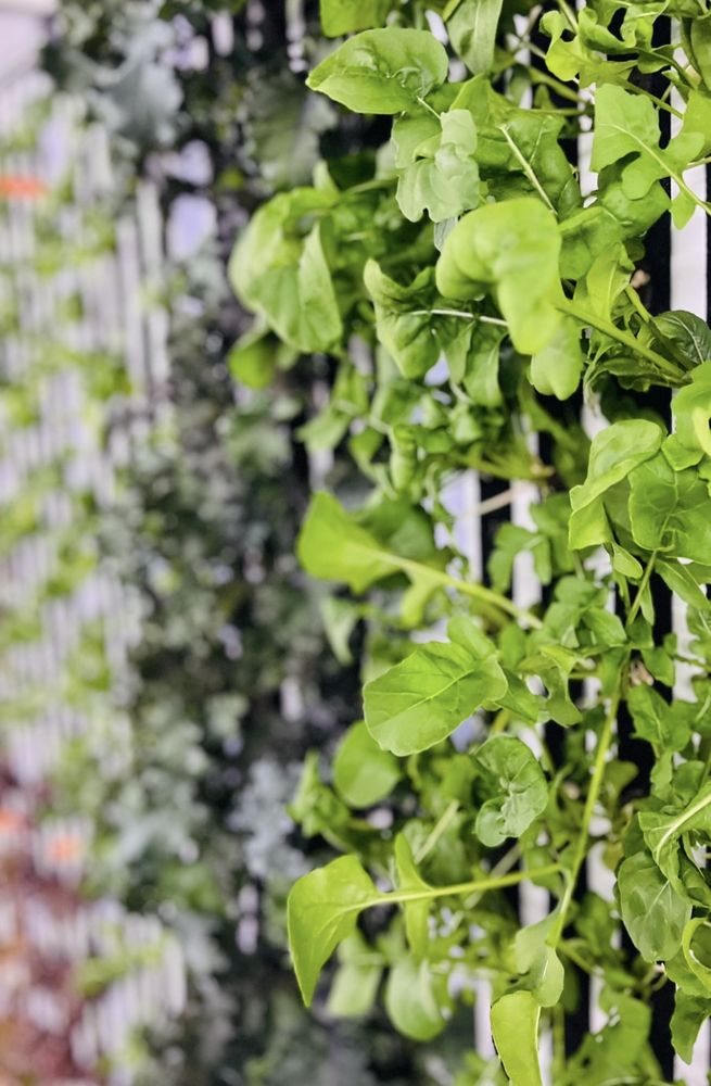 GETBLOK FARMS - Updated May 2025 - 12 Photos - 300 Main Ave, Aliquippa ...