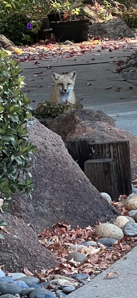 BROOKVIEW PARK - Updated December 2025 - 1201 Monument Blvd, Concord ...