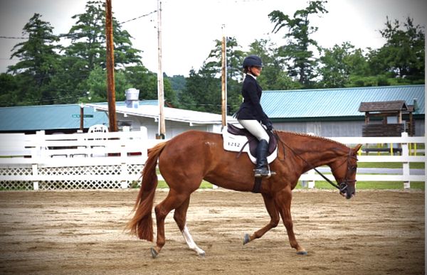 MEETING HOUSE FARM - Updated December 2025 - 333 Quaker Meetinghouse Rd ...