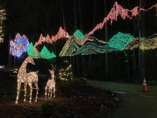 WARM BEACH CAMP & CONFERENCE CENTER - Updated December 2024 - 184 ...