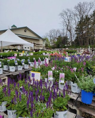 BROCK FARMS - Updated June 2025 - 60 Photos & 29 Reviews - 375 NJ 34 ...