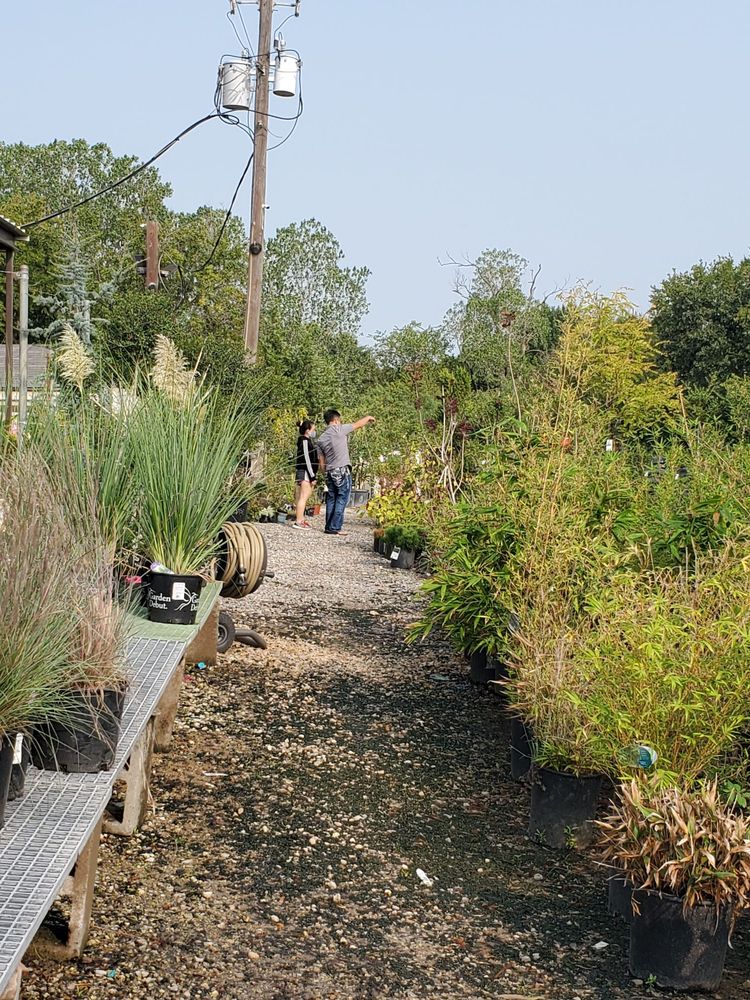 THE TREE PLACE - Updated September 2024 - 22 Photos & 29 Reviews - 5625 ...