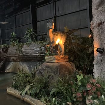 JURASSIC JUNGLE BOAT RIDE - Updated October 2024 - 73 Photos & 214 ...