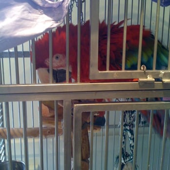 ELEANOR BUCK WOLF NATURE CENTER - Updated December 2025 - 156 Prospect ...