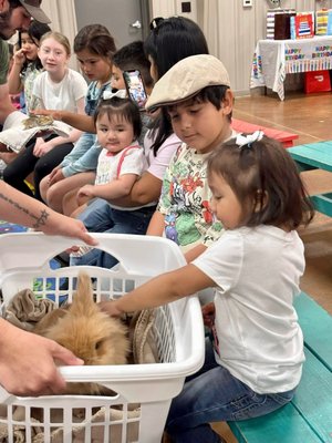 RESCUE RANCH - Updated December 2025 - 32 Photos - 1424 Turnersburg Hwy ...