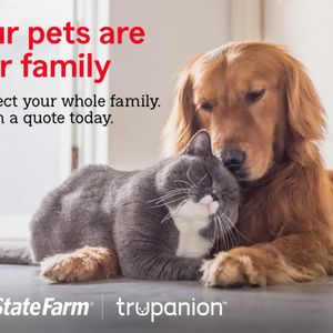 HAYK TADEVOSYAN - STATE FARM INSURANCE AGENT - Updated July 2025 - 24 ...