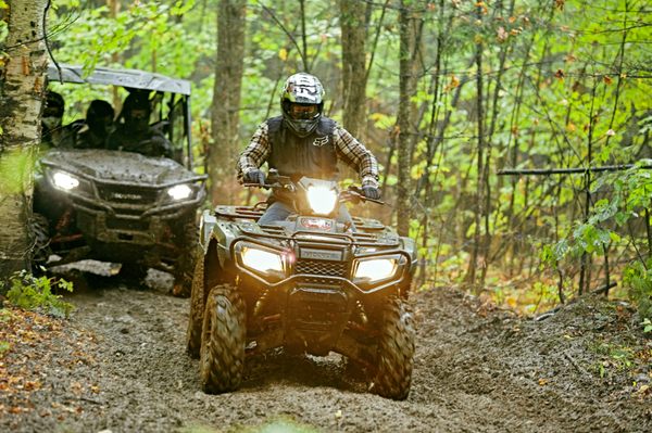 TURPLE BROS - Updated December 2025 - 33 Photos - 175 Leva Avenue, Red ...