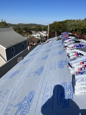 NEXT LEVEL ROOFING AND SIDING - Updated July 2025 - Request a Quote ...