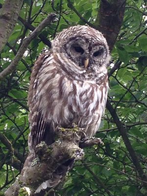 WALLACE R HODGES, MD - Updated October 2025 - 30 Reviews - 901 Boren ...