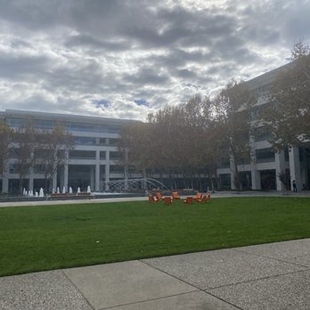 FLOURISH - Updated January 2026 - 134 Photos & 35 Reviews - 6101 ...