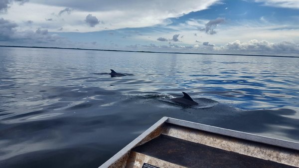 OZELLO BOATS - 42 Photos & 17 Reviews - Tours - 2355 S Ripple Path ...