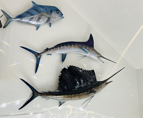 GRAY TAXIDERMY - Updated May 2024 - 119 Photos & 134 Reviews - 712 NW ...